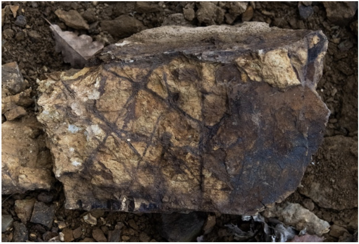 Electrum Discovery Corp. Provides Exploration Update: Identifies New ...