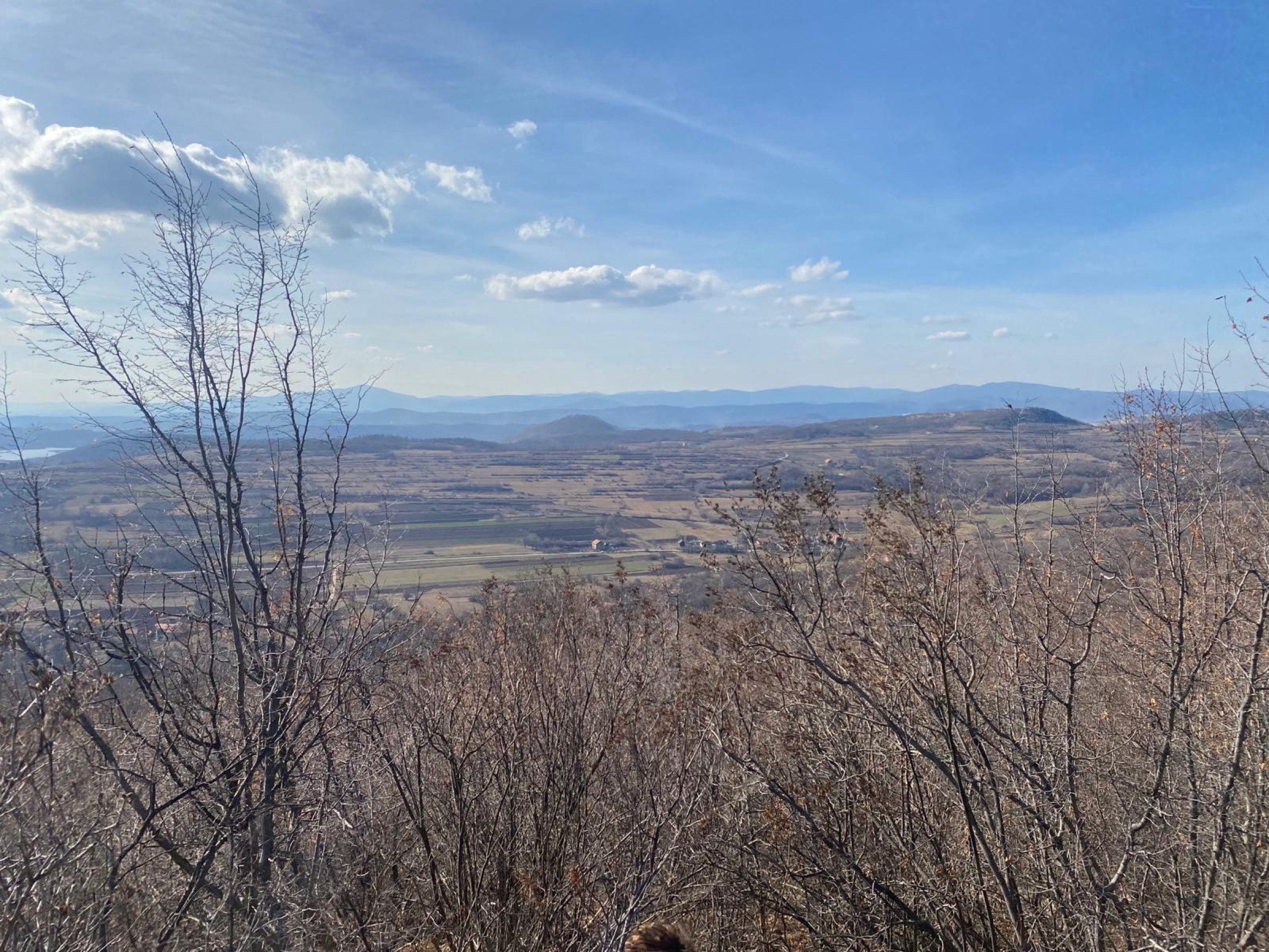 Timok East - Electrum Discovery