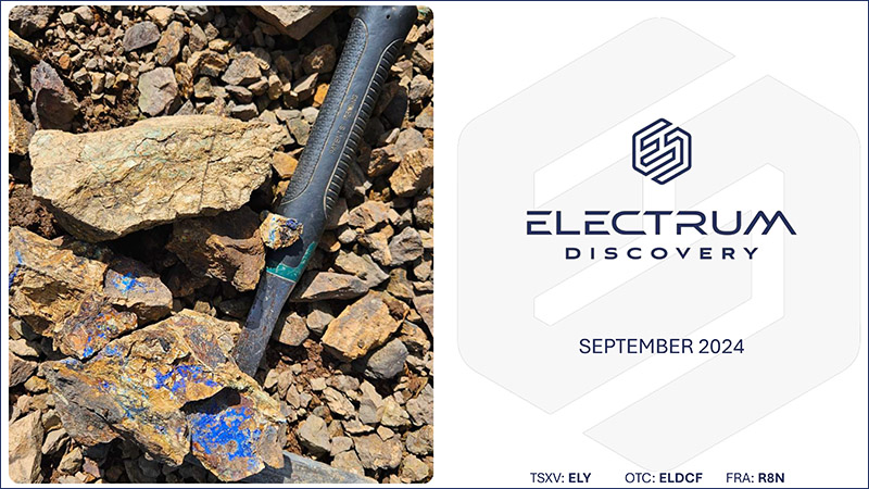 Presentation & Fact Sheet - Electrum Discovery
